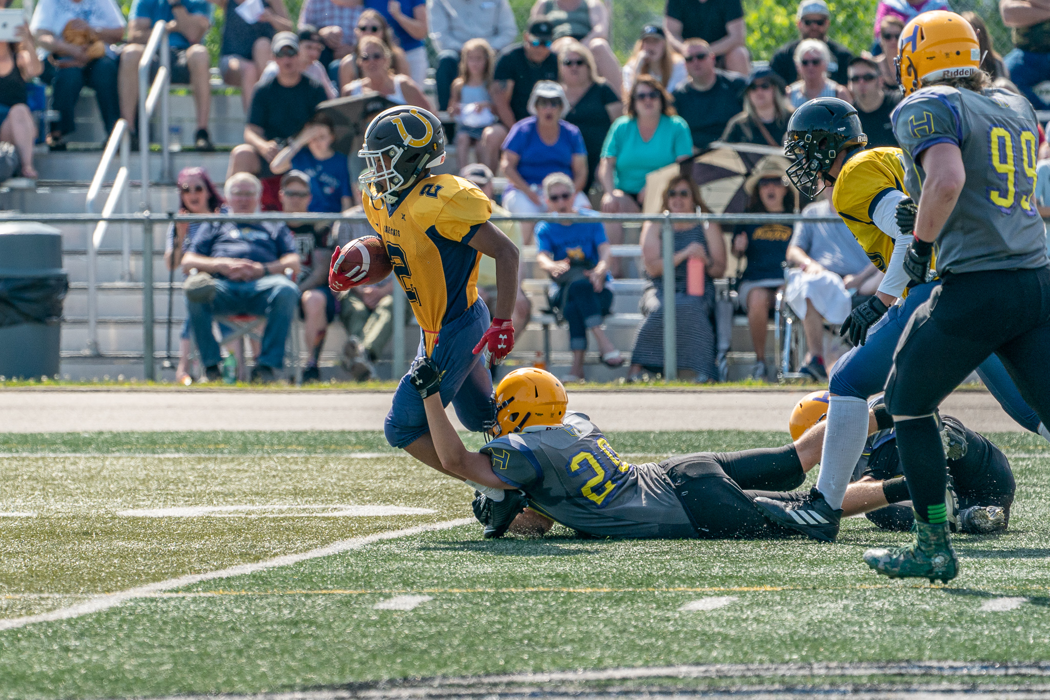 Junior Sabercats Win Over Stallions While Varsity Sabercats Fall to the ...