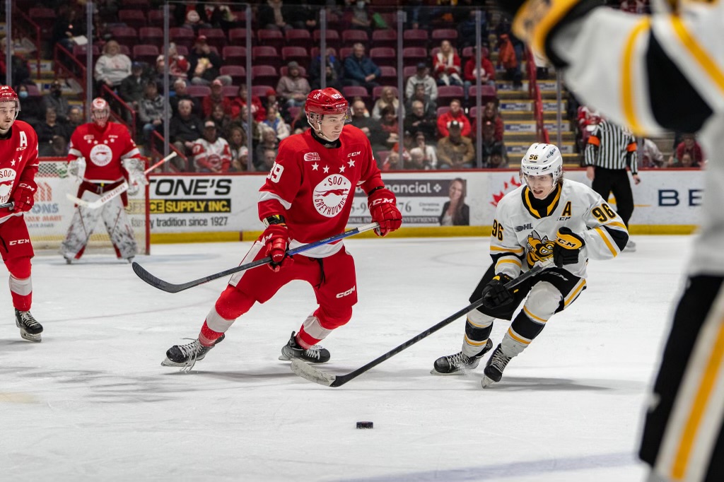 Greyhounds Victorious Over the Visiting Sting in West Division Action