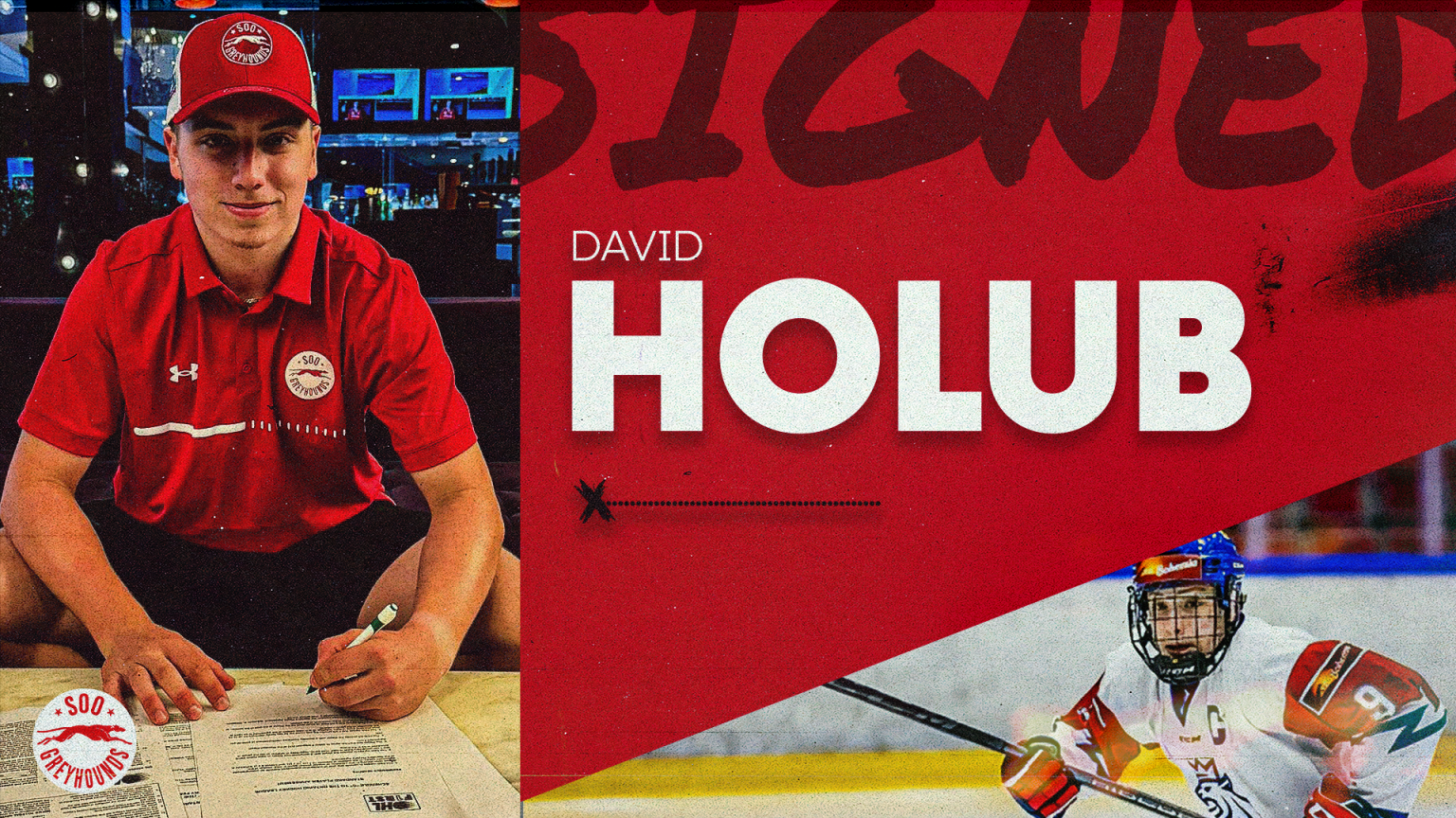 CHL Import Selection David Holub Signs an OHL Scholarship and ...