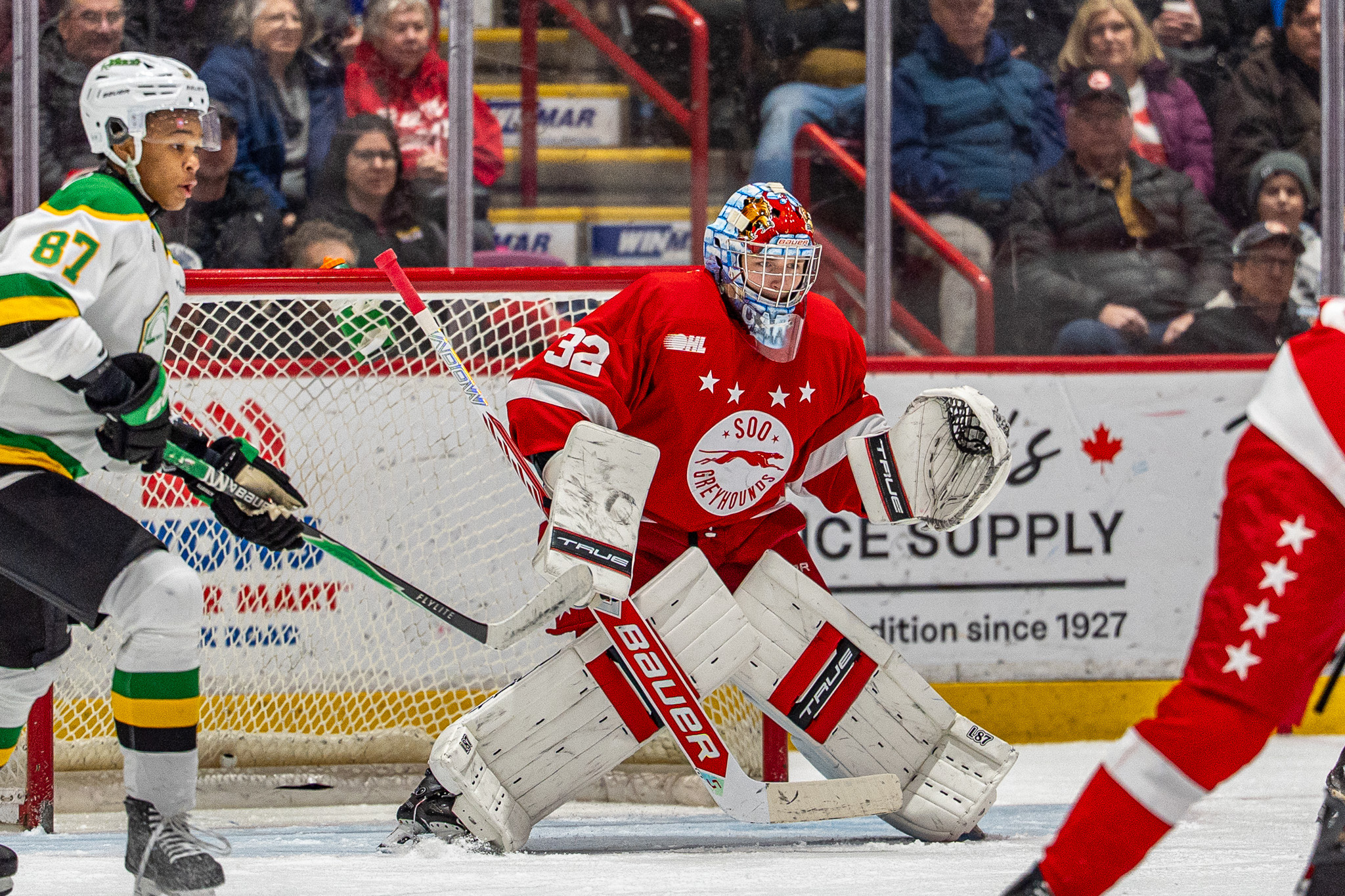 Netminder Carter George Caps Greyhounds’ Sixth Straight Win with Rare ...